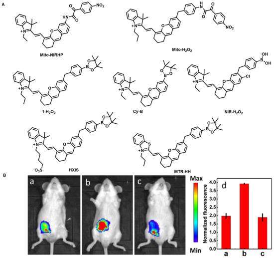 Activity-Based Fluorescent Probes Based on Hemicyanine for Biomedical ...