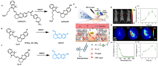 Activity-Based Fluorescent Probes Based on Hemicyanine for Biomedical ...