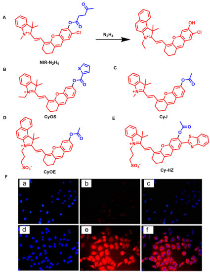 Activity-Based Fluorescent Probes Based on Hemicyanine for Biomedical ...