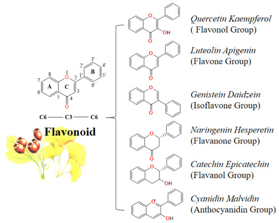 A Review of The Application of Spectroscopy to Flavonoids from Medicine ...