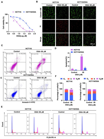 Dihydrotanshinone I Inhibits the Proliferation and Growth of ...