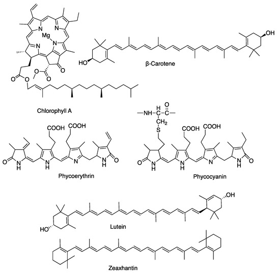 Rhodophyta as Potential Sources of Photoprotectants, Antiphotoaging ...