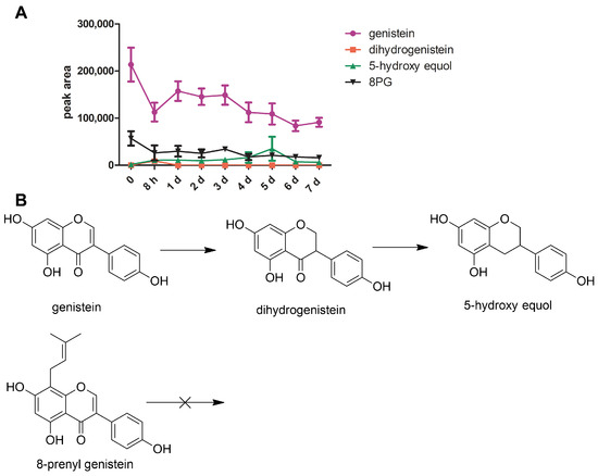 Genistein Modified with 8-Prenyl Group Suppresses Osteoclast Activity ...