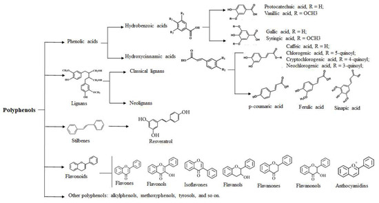 Effects of Natural Polyphenols on Skin and Hair Health: A Review