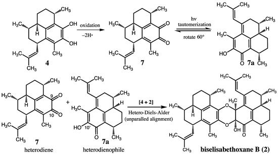 Isolation, Structural Analysis and Biological Activity Assays of ...