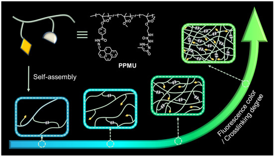 AIEgen-Enabled Multicolor Visualization for the Formation of ...