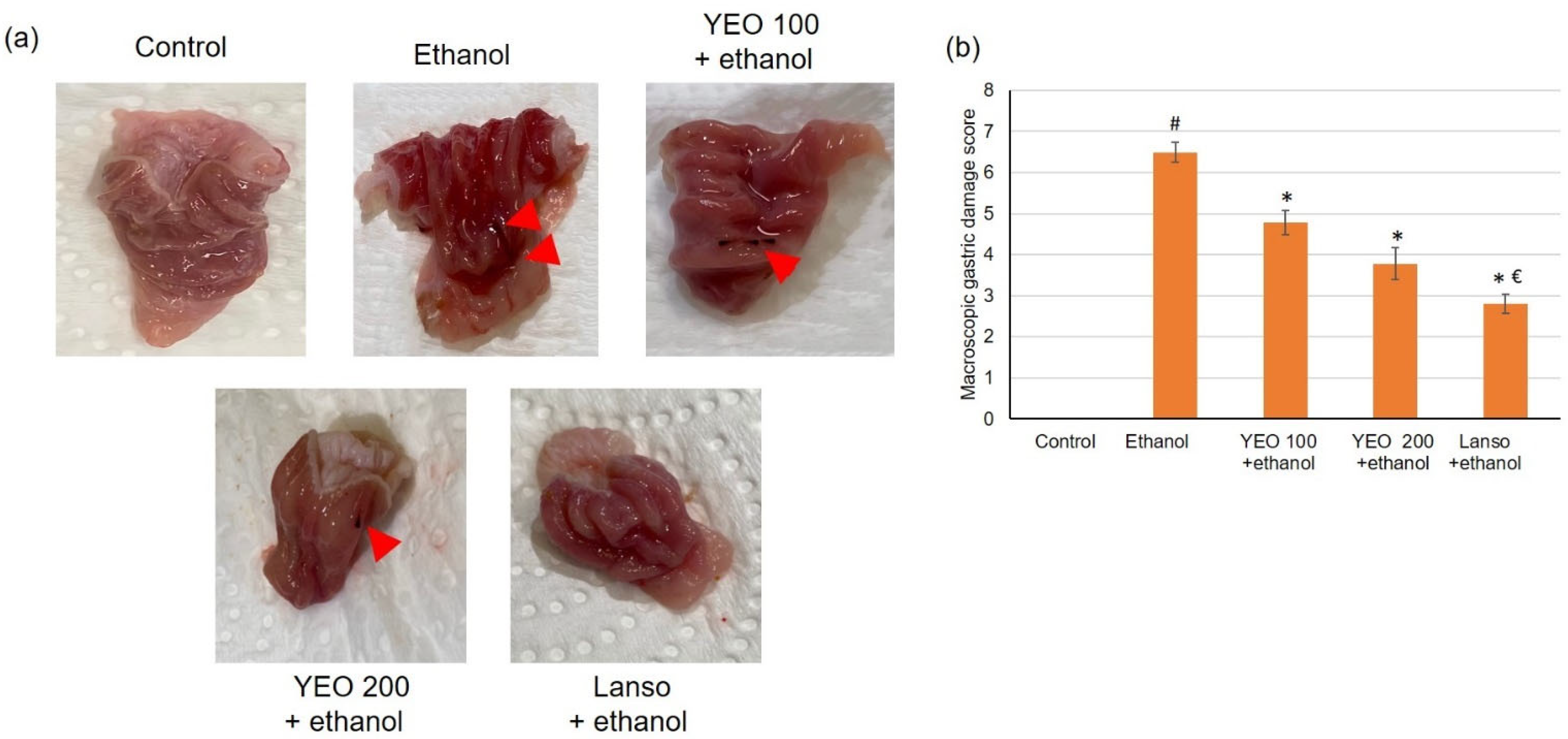 Manar Maged Separated