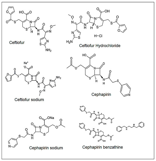 Development and Validation for Quantification of Cephapirin and ...