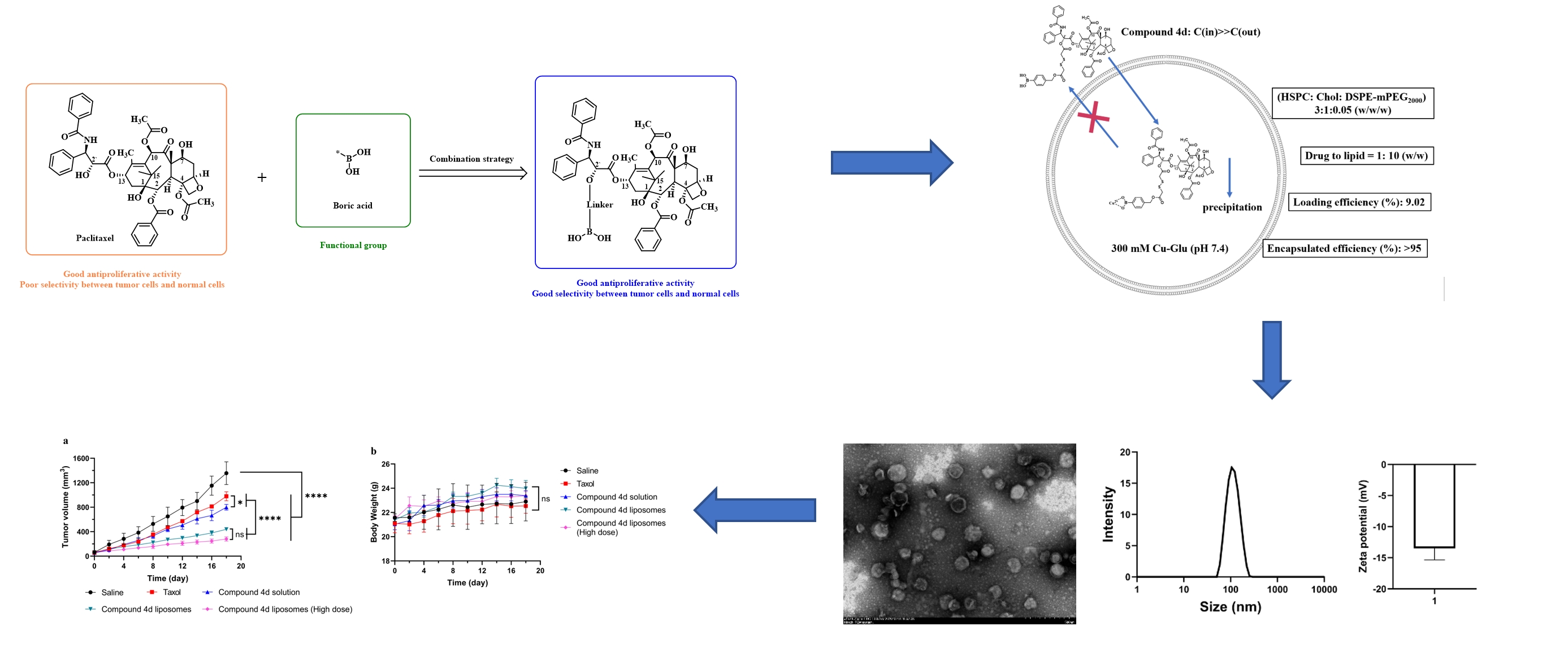 Molecules | Free Full-Text | Synthesis of Paclitaxel Derivatives for ...