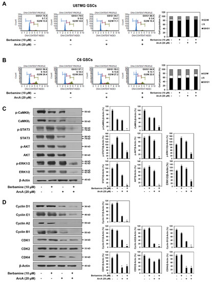 Molecules Free Full Text Synergistic Anticancer Effect Of A
