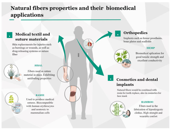 Antimicrobial Properties of Plant Fibers