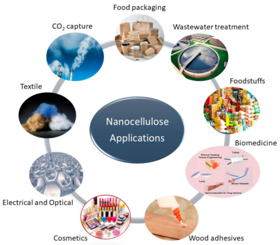 Molecules | Free Full-Text | Nanocellulose: A Fundamental Material for Science and Technology ...