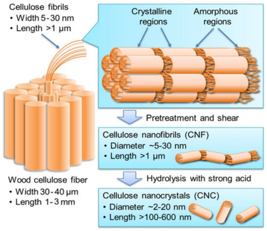 Molecules | Free Full-Text | Nanocellulose: A Fundamental Material for ...