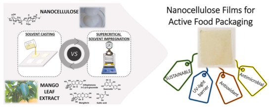 Nanocellulose: A Fundamental Material for Science and Technology ...