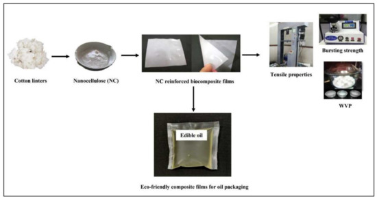 Nanocellulose: A Fundamental Material for Science and Technology ...