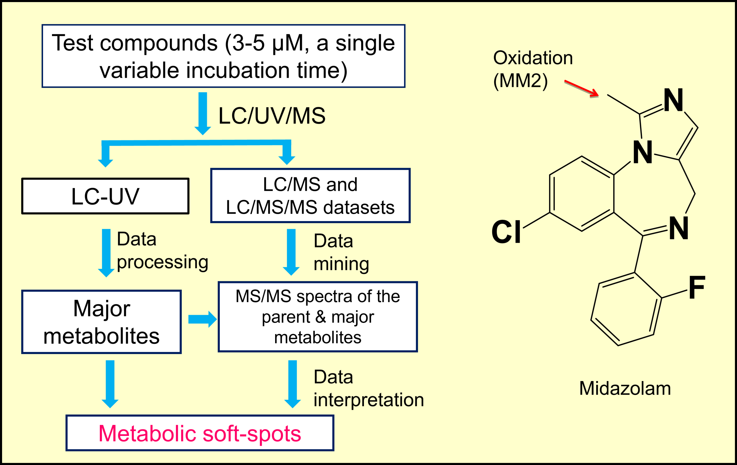 Molecules | Free Full-Text | High-Throughput Metabolic Soft-Spot ...