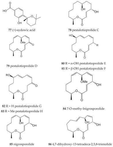Pestalotiopsis Diversity: Species, Dispositions, Secondary Metabolites ...