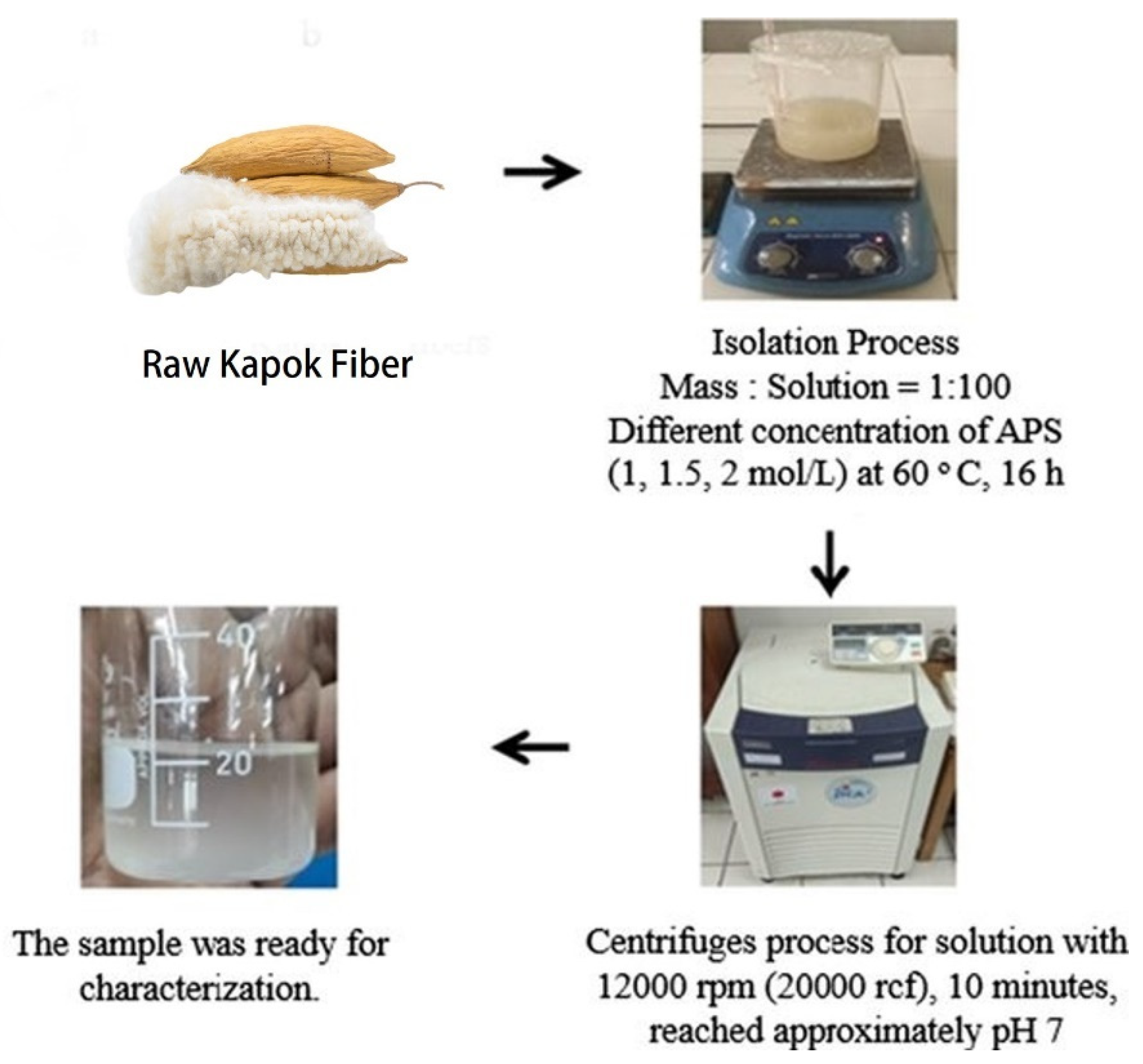 Molecules | Free Full-Text | Biobased Kapok Fiber Nano-Structure for ...