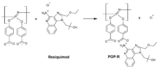 Cyclo- and Polyphosphazenes for Biomedical Applications