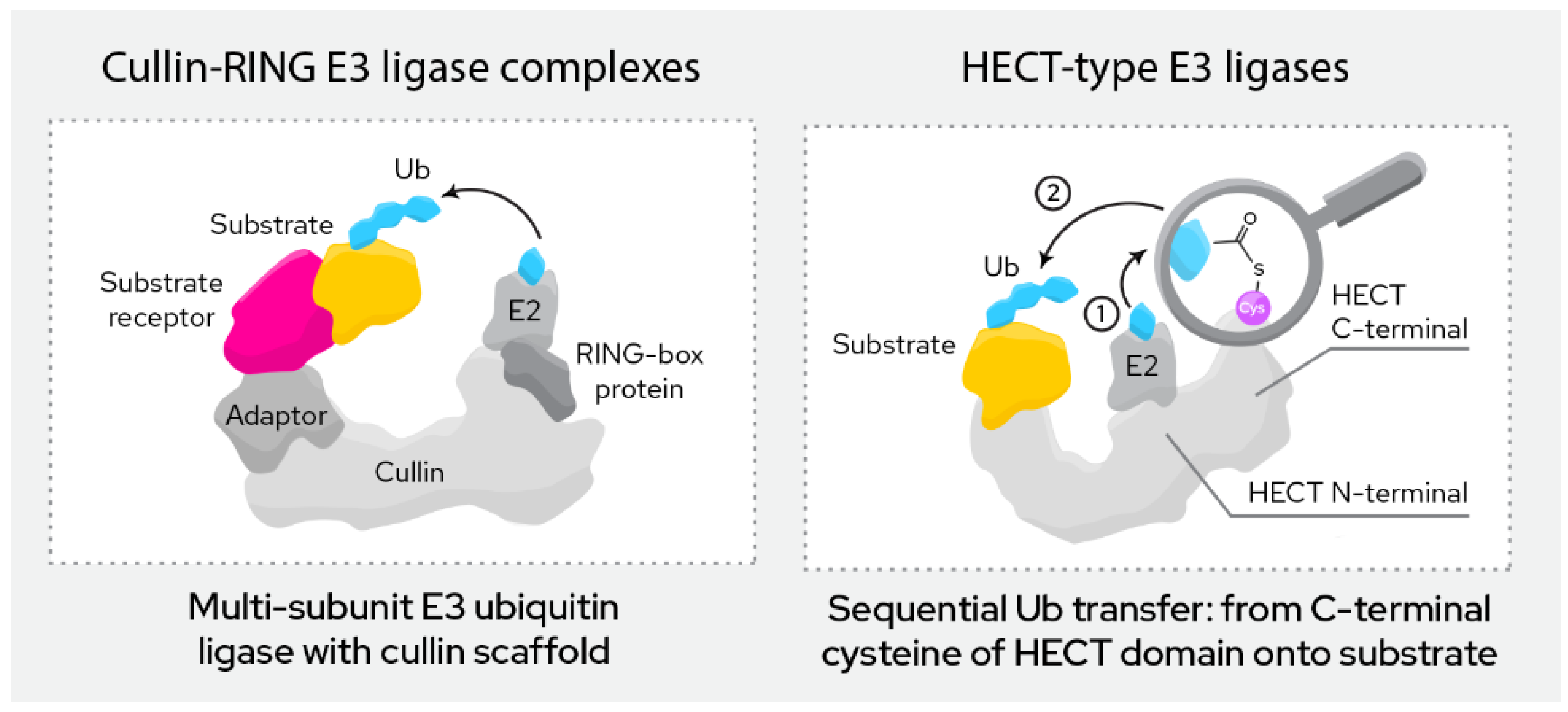 Current Challenges in Small Molecule Proximity-Inducing Compound ...