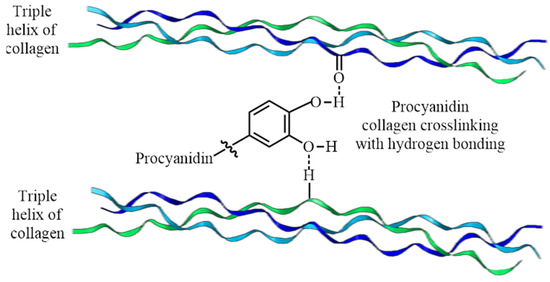 Insights on Chemical Crosslinking Strategies for Proteins