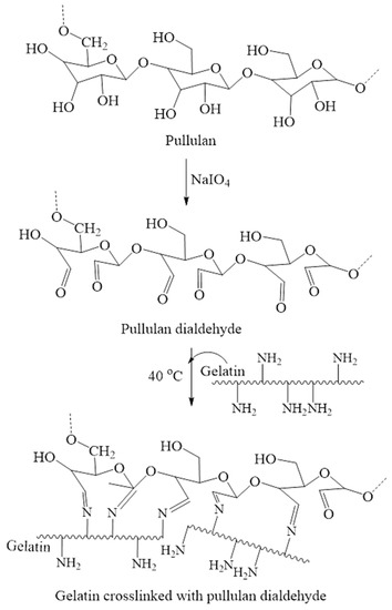 Insights on Chemical Crosslinking Strategies for Proteins