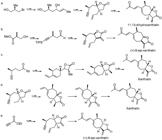 Xanthanolides in Xanthium L.: Structures, Synthesis and Bioactivity