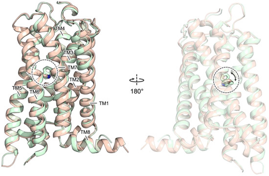 Molecules | Free Full-Text | N-[1,3-Dialkyl(aryl)-2-oxoimidazolidin-4 ...