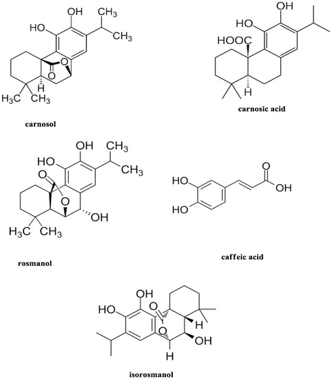 Sustainable and Efficacy Approach of Green Synthesized Cobalt Oxide ...