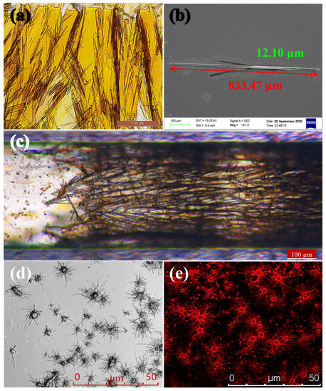 Luminous Self-Assembled Fibers of Azopyridines and Quantum Dots Enabled ...