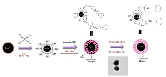 Molecules Free Full Text Magnetic Core Shell Nanoparticles Using Molecularly Imprinted