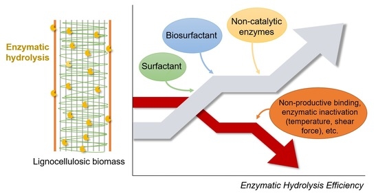 Molecules | Free Full-Text | Surfactants, Biosurfactants, and Non-Catalytic Proteins as Key ...