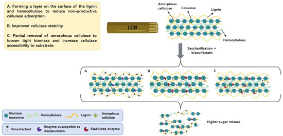 Surfactants, Biosurfactants, and Non-Catalytic Proteins as Key ...