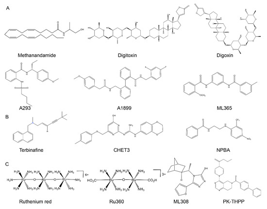 Advances in the Understanding of Two-Pore Domain TASK Potassium ...