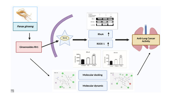 Molecules | Free Full-Text | Investigating the Anticancer Activity of G ...