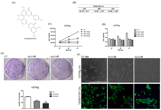 Isoginkgetin—A Natural Compound to Control U87MG Glioblastoma Cell ...