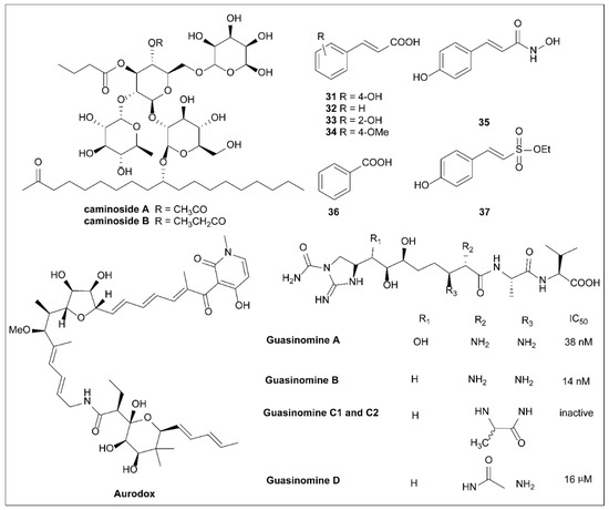 Research Progress on Small Molecular Inhibitors of the Type 3 Secretion ...