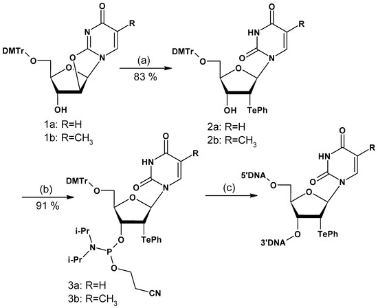 Tellurium-Modified Nucleosides, Nucleotides, and Nucleic Acids with ...