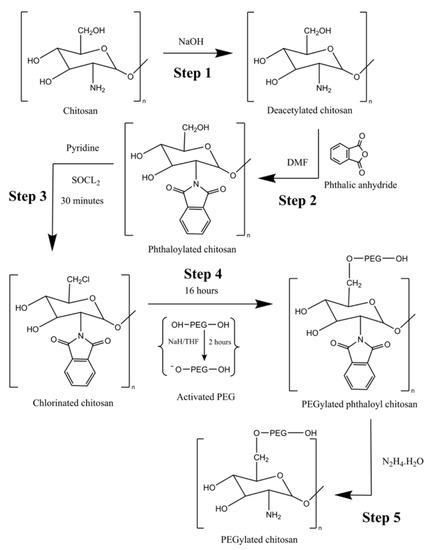 Molecules Free Full Text Fabrication Of Pegylated Chitosan