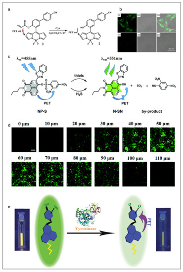 Fluorescent Organic Small Molecule Probes for Bioimaging and Detection ...