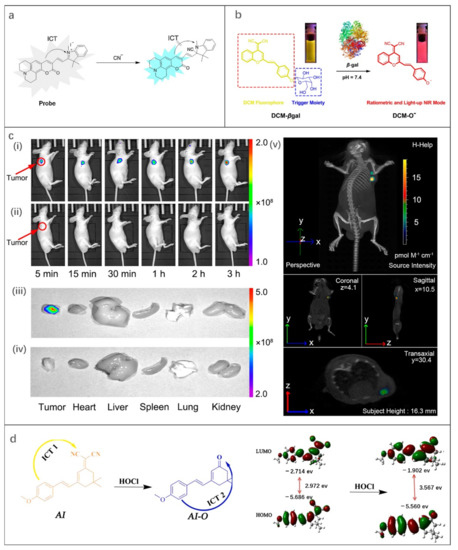 Fluorescent Organic Small Molecule Probes for Bioimaging and Detection ...