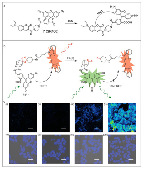Fluorescent Organic Small Molecule Probes for Bioimaging and Detection ...