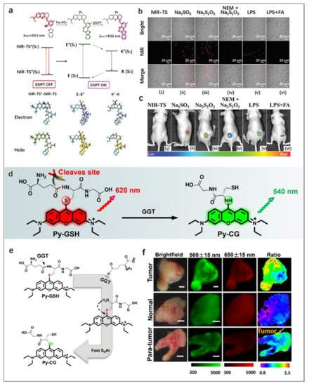 Fluorescent Organic Small Molecule Probes for Bioimaging and Detection ...