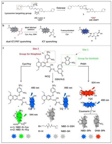 Fluorescent Organic Small Molecule Probes for Bioimaging and Detection ...