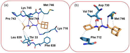 Molecules | Free Full-Text | X-ray Structures and Computational Studies ...