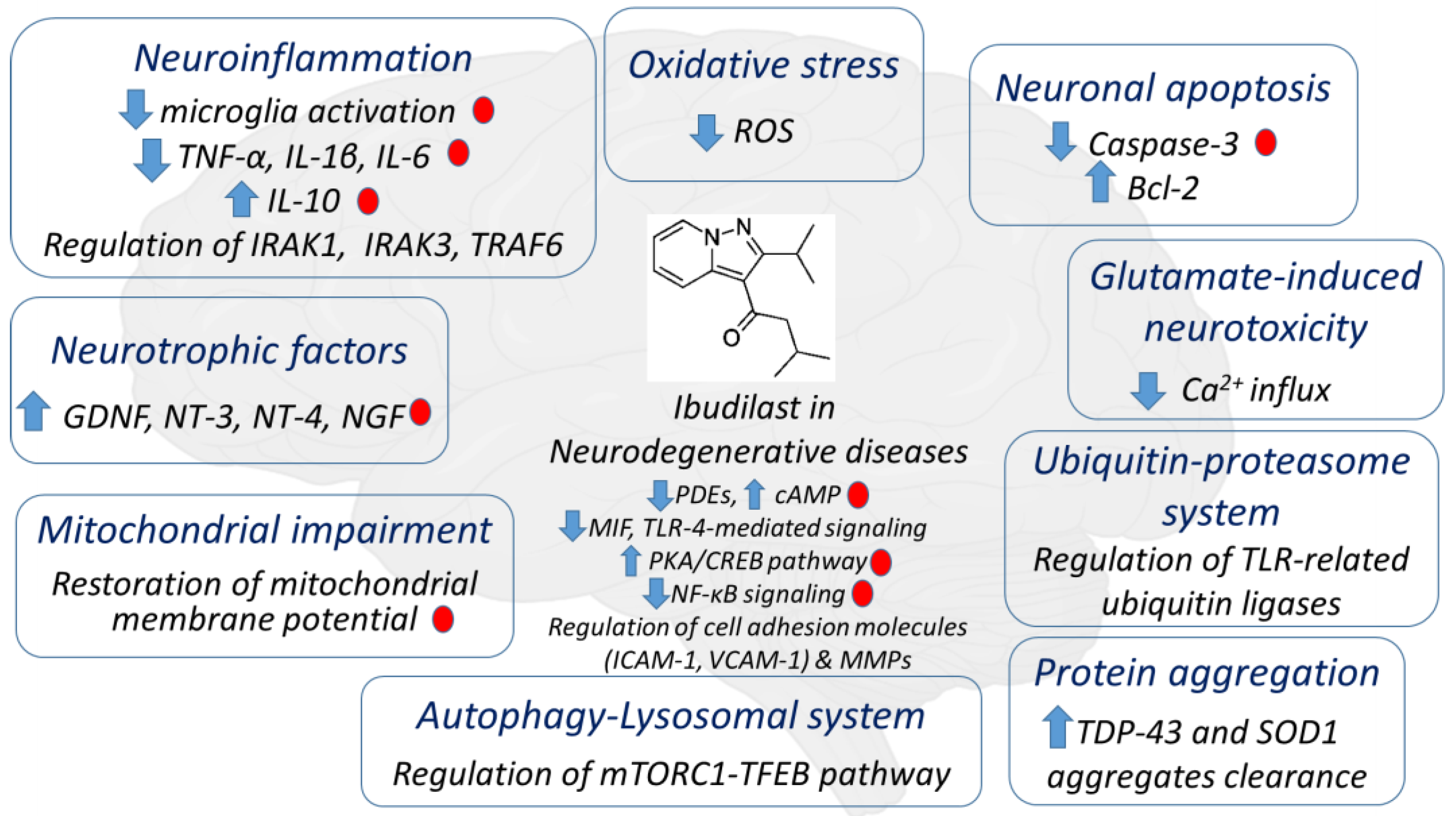 Emerging Potential of the Phosphodiesterase (PDE) Inhibitor Ibudilast ...
