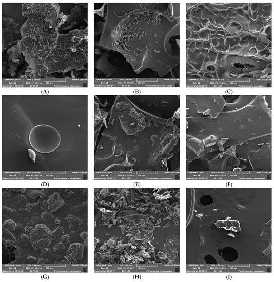 Optimization of Wall Material of Freeze-Dried High-Bioactive ...
