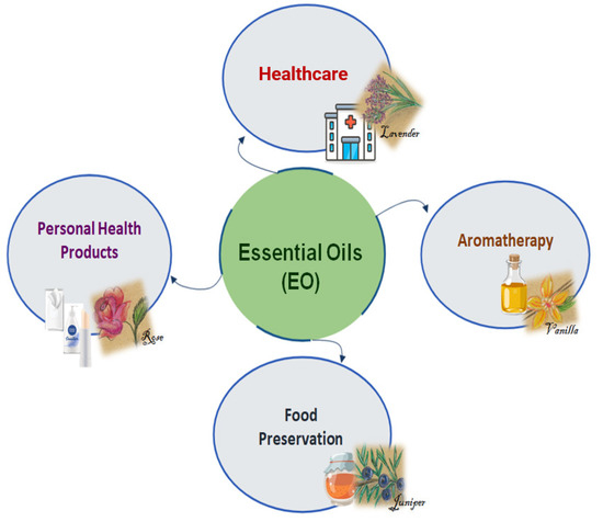 Essential Oils Encapsulated in Zeolite Structures as Delivery Systems ...