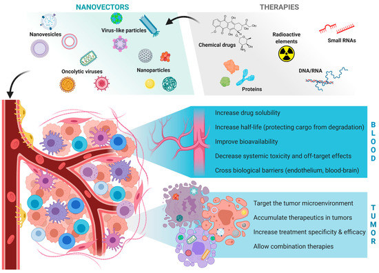 Synergistically Enhancing the Therapeutic Effect on Cancer, via ...