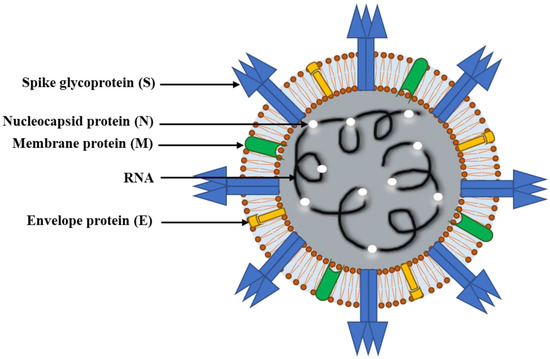 Molecules | Free Full-Text | Drugs for COVID-19: An Update